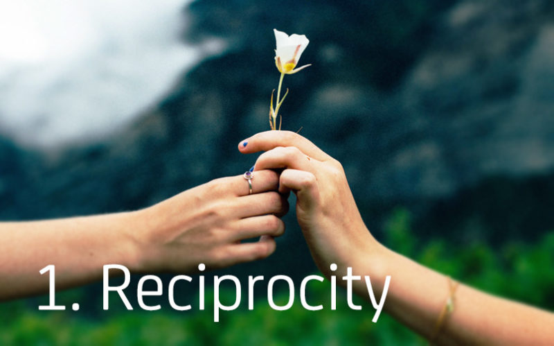 How to make reciprocity work online: 14 surprising insights | Conversion